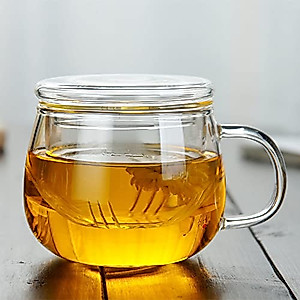 Tosnail 2 Pack 13 Ounce Glass Tea Cup with Lid and Tea Infuser Set, Tea Mugs with Strainer, Clear Teacups with Tea Filter, Glass Cups for Loose Tea Brewing