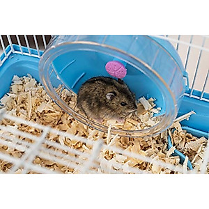 PStarDMoon Portable Hamster Cage with Running Exercise Wheels, Water Bottle, with Rainbow Hamster Toys and Sawdust, for African Miniature Rabbit Chinchilla Squirrel and Other Small Animals (Pink)