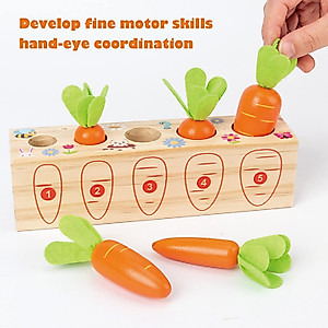 Xylolin Montessori Toys for Toddlers 1-3, Carrots Shapes Sorting and Matching Game Wooden Toys, Fine Motor Skill Early Learning Preschool Educational Toys Gifts for 1 2 3 Year Old Boys Girls