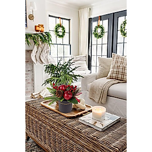 Mini Christmas Tree, Artificial Potted Christmas Tree with Apples Pine Cones Berries Ribbon Tabletop Small Christmas Floral Arrangements in Pot Xmas Centerpieces for Tables Desk Mantle Decor-10.2''