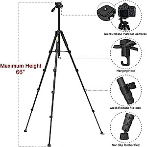 Endurax 66 Tripod for Camera and Phone Camera Tripod Stand with Quick Release Plate Compatible with iPhone Nikon Canon DSLR Heavy Duty and Sturdy