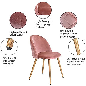 ExAchat A Set of 2/4/6 Velvet-Backed upholstered Dining Chairs with a Simple and Stylish Design, which can Perfectly Match Your Dining Room, Living Room or Bedroom. (2, Pink)