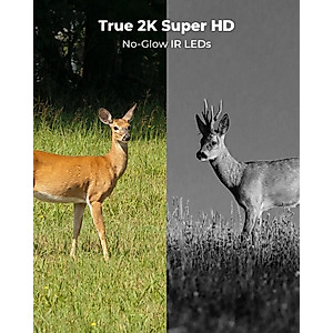 REOLINK KEEN Ranger PT Cellular Trail Camera, 3G/4G LTE, 360° Full View, 2K Live Video&Playback on Phone, No-Glow IR, Solar Powered Game Camera, 2K Night Vision, Smart Motion Activated, No WiFi Needed