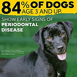 Fresh Breath by TropiClean Oral Care Spray for Pets, 4oz - Made in USA