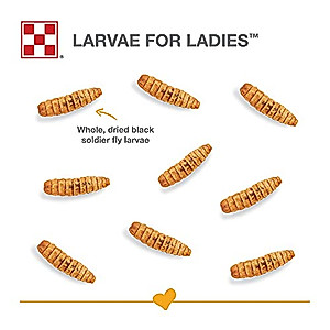 Purina | Farm to Flock Larvae for Ladies™ Hen Treats (12 OZ)