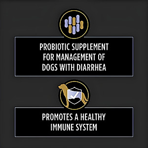 Veterinary Supplements Chewable Dog Probiotic Supplement Tablets - 45 ct. Canister