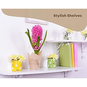 B&B HARDWARE Cabinet Shelves - 3/4'' Thick - Custom Organize Space with Stylish Shelves - Perfect Solution for Home & Office - Melamine Shelves Cut to Order (12" Depth X 20'' Inches Length)