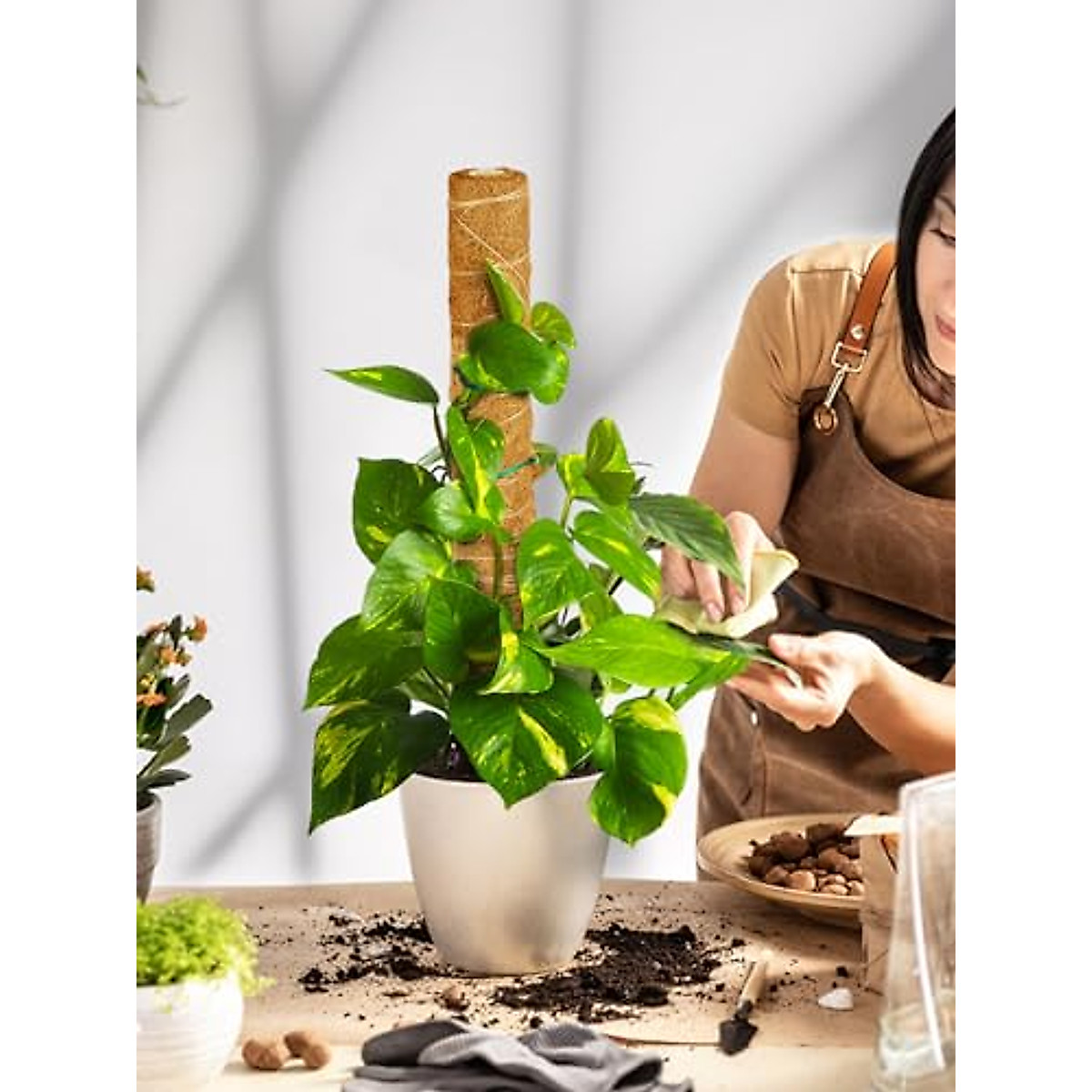 68'' Total Moss Monstera Pole Plants Support for Indoor Climbing Plants- Stable Stackable Coco Coir Stakes for Potted Plants, Easy to Use (6 Pack)