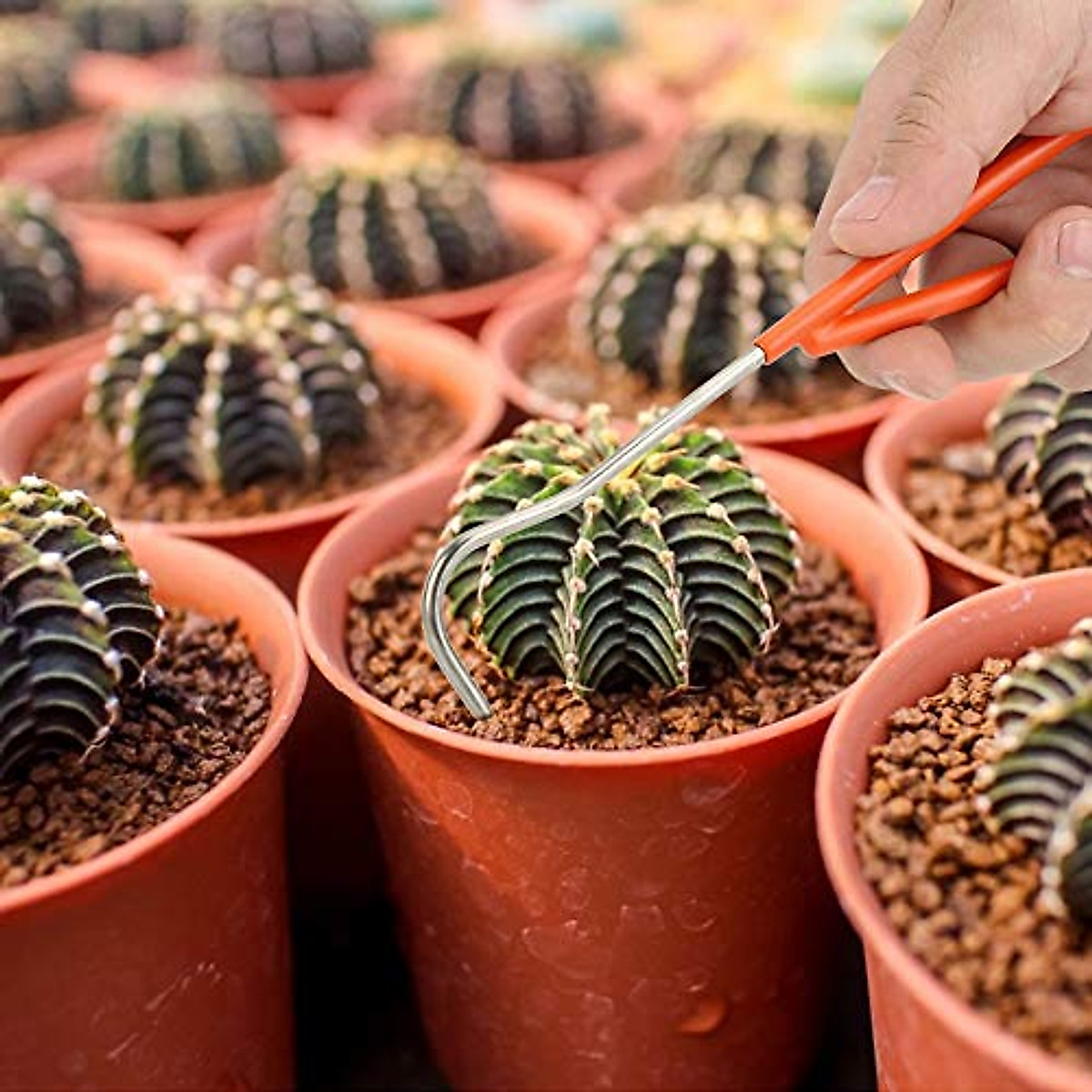 GOTOTOP Bonsai Hook Sturdy Manganese Metal Gardening Hook Handle Bonsai Root Hook with Comfortable Handle for Loosing Soil