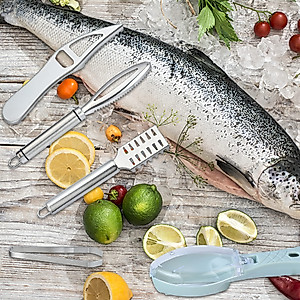 Worldity 7 Pieces Fish Scaler Brush Remover with Gray Mitten, Stainless Steel Sawtooth Remover Removing Peeler Cleaning Tool Fish Shape Tweezers for Fish Scales Removing Peeling