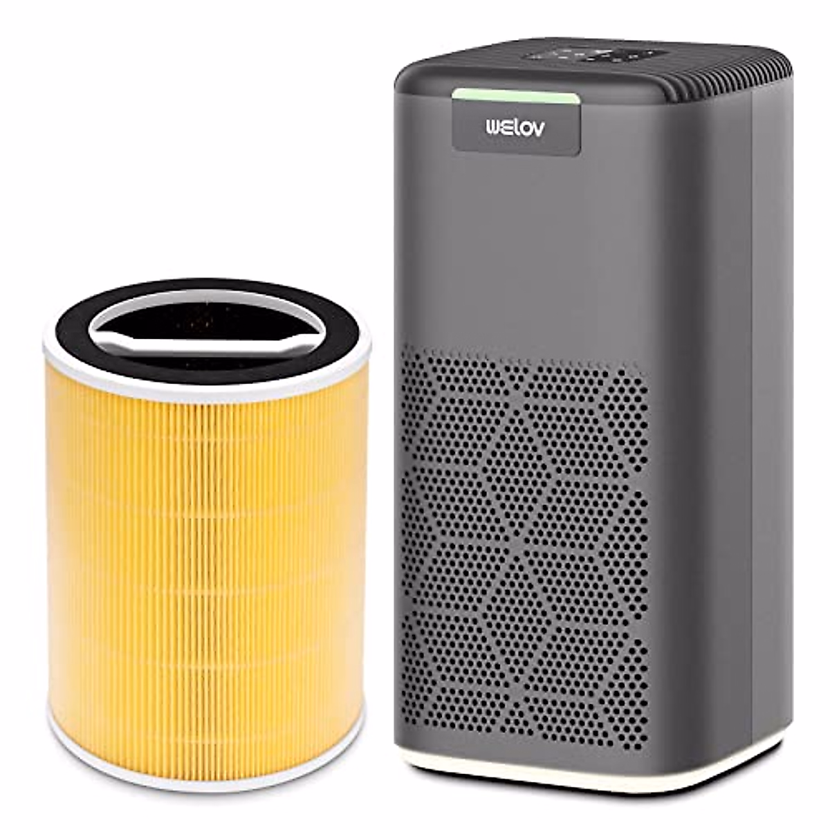 Welov P200S Air Purifiers for Home Large Room with An Extra H13 True HEPA Pet Care Filter Bundle