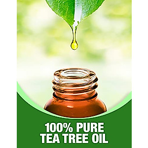Ethereal Nature 100% Pure Oil, Tea Tree, 1.01 fl. oz.