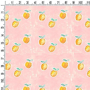 GRAPHICS & MORE Painterly Citrus Oranges Pattern Gift Wrap Wrapping Paper Rolls