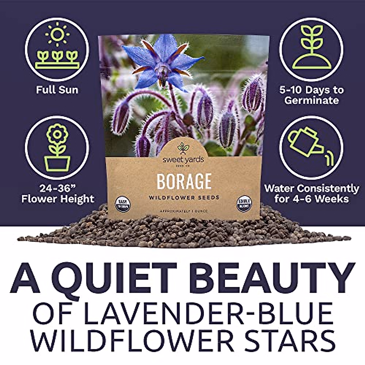 Sweet Yards Seed Co. Borage Seeds – Extra Large Packet – Over 1,200 Open Pollinated Non-GMO Wildflower Seeds – Borago officianalis