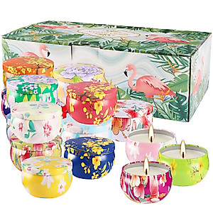 16 Pack Scented Candles, 2.5 oz Aromatherapy Candles for Home Scented, Natural Soy Portable Small Jar Candles Set for Travel, Spa, Bath, Yoga