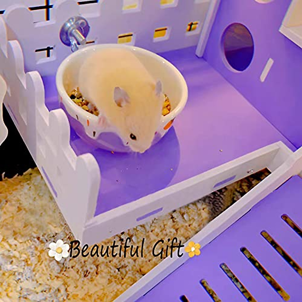 Hamster Food Bowl,Small Animals Ceramic Food Water Bowl Prevent Tipping Moving for Guinea Pig Rabbit Gerbil Chinchilla Hedgehog Rat (2 Pack) (- Color: Purple + Blue)