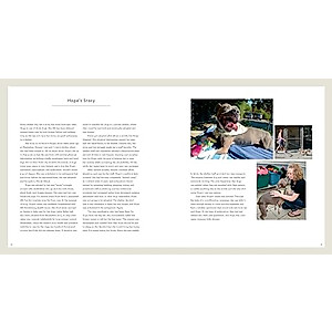 Finding Home: Shelter Dogs and Their Stories