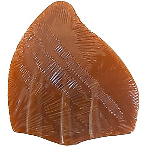 NutriChomps Nutri Ears-Easy to Digest, Rawhide-Free Dog Treats, Bundle of 10, Real Chicken Flavor, Brown (NT082V-10)