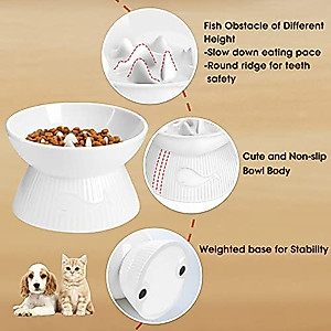 Kopmath Raised Cat Slow Feeder, Ceramic Slow Feeder Cat Bowl, Upgraded Ridges to Prevent Vomiting and Indigestion, No Spill High Edge for Dry/Wet Food, Heavy and Stable, Easy to Clean Pet Bowls