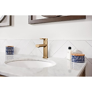 Moen Meena Bronzed Gold One-Handle Single Hole Modern Bathroom Sink Faucet with Optional Deckplate and Drain Assembly, 84794BZG