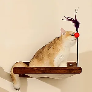tamfom Cat Hammock Wall Mounted, Cat Shelves and Perches for Wall, Cat Wall Furniture for Indoor Cats, Quality Cat Furniture for Sleeping, Playing, Climbing and Lounging, Cat Wall Bed
