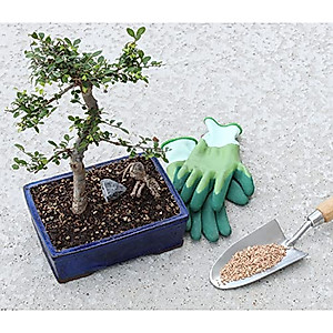 Calcined Clay Soil Amendment (2 Quarts), for Bonsai Tree Potting and Other Plants, Regulates Moisture