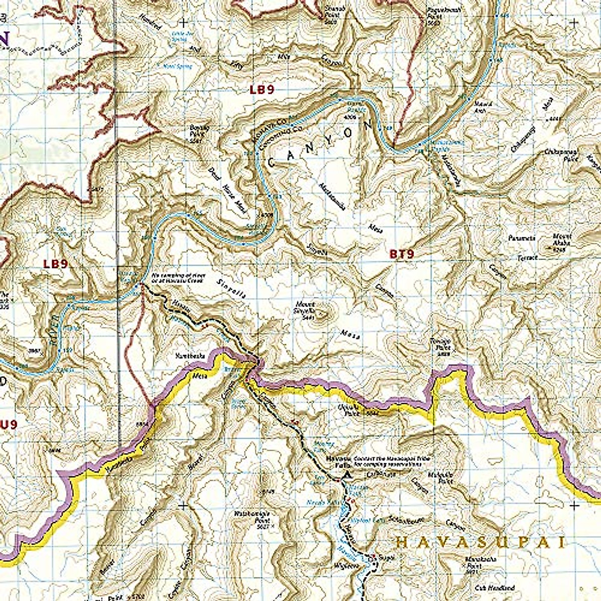 Grand Canyon West [Grand Canyon National Park] (National Geographic Trails Illustrated Map) (National Geographic Trails Illustrated Map, 263)