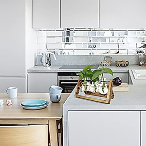 Plant Propagation Station,Plant Terrarium with Wooden Stand Desktop Air Propogation Planters Glass Vase for Indoor Hydroponics Water Plants Home Garden Office Decoration