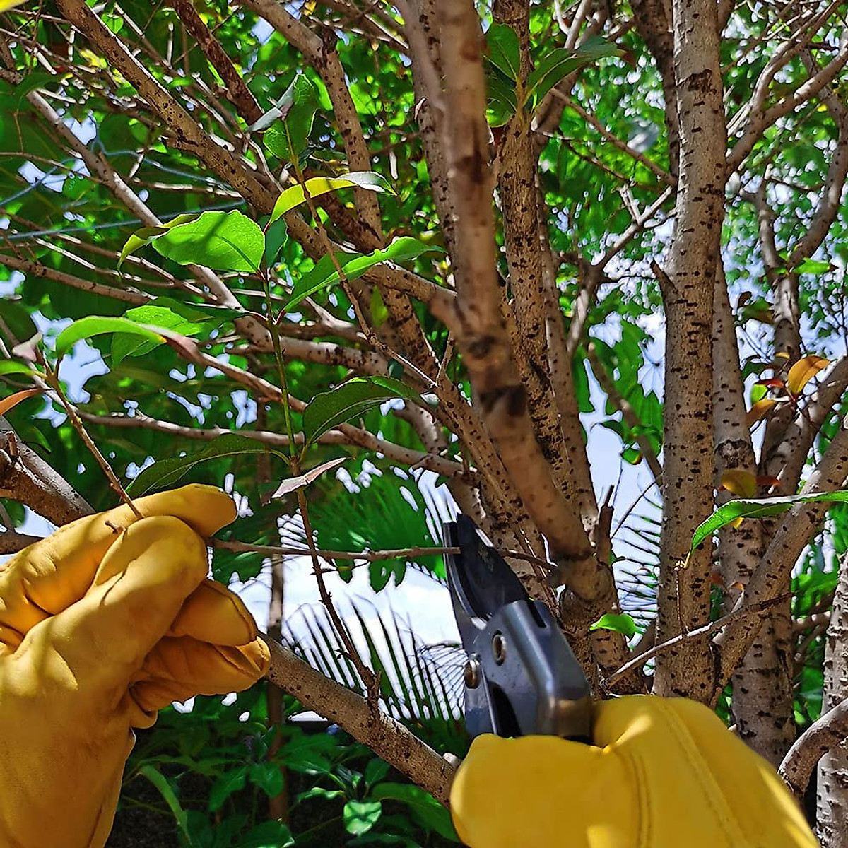 KINDE Gardening Gloves - Thorn Proof Cowhide Leather Rose/Blackberry Pruning Long Forearm Protection Gauntlet, Work Garden Gloves (YELLOW, Medium)