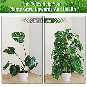 47 Inch Moss Pole for Plants Monstera, Bendable Plant Stakes for Climbing Plants, Monstera Moss Pole, Bendable Coco Coir Plant Support, Plant Sticks Support for Indoor Plants (1 Pack)