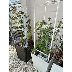 EXO Garden Hydroponic Growing System Vertical Tower - Vegetable Plant Tower Gift for Gardening Lover - Automate Aeroponics Mini Indoor Outdoor Home Grow Herb