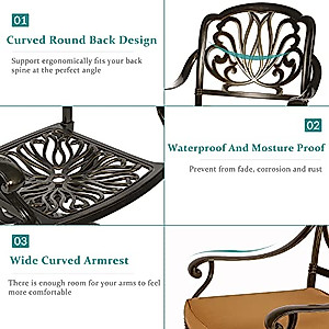 MEETWARM 2 Piece Outdoor Patio Swivel Bar Stools, All-Weather Cast Aluminum Bar Height Bistro Chairs, Outdoor Furniture Bar Dining Chair Set with Cushions for Garden Deck Backyard, Dark Bronze