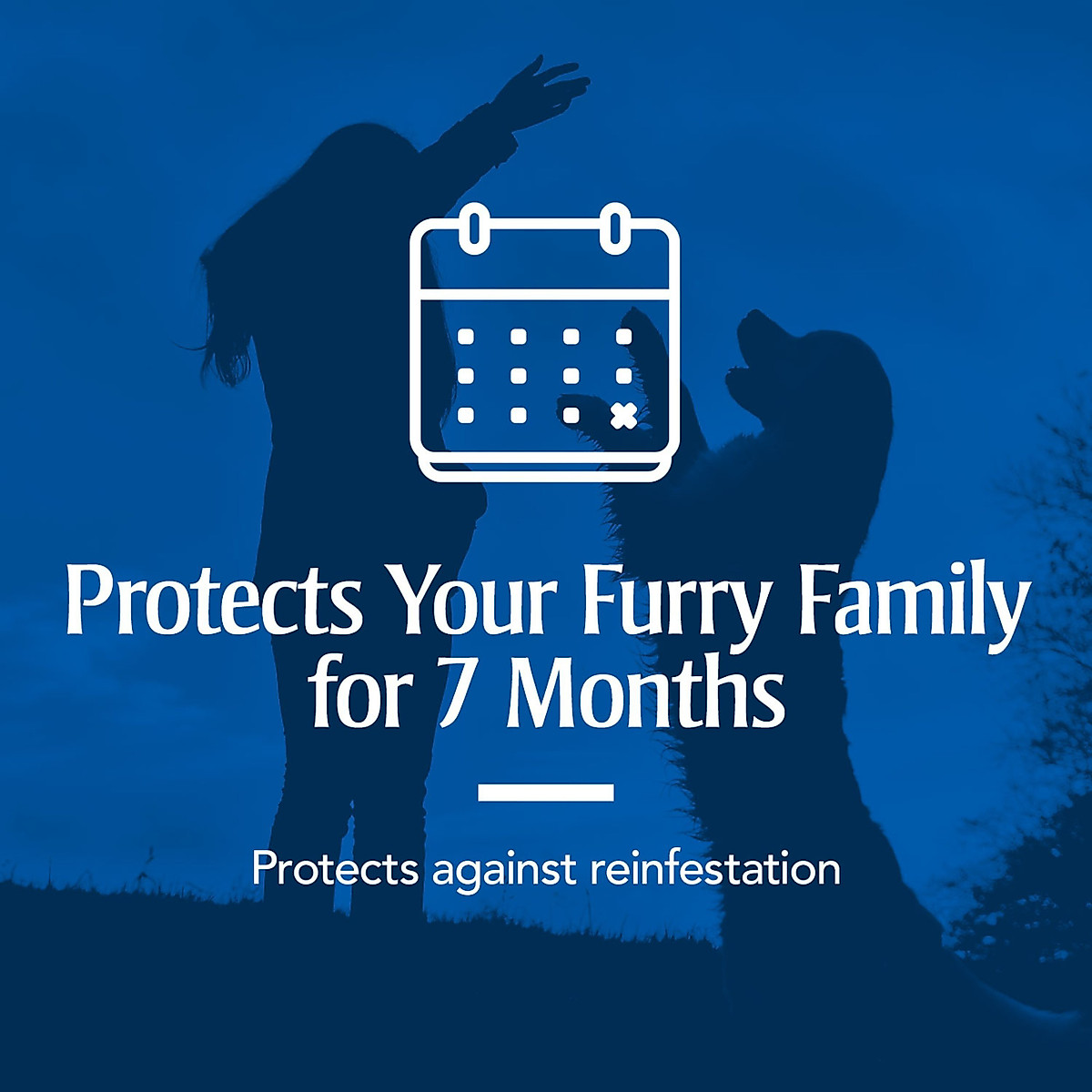 PETARMOR Home Household Spray for Fleas and Ticks, 24 Ounce