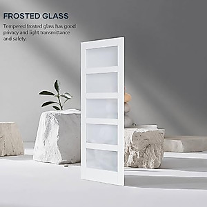 EaseLife 30in x 84in Glass Barn Door,Solid LVL Wood Covered with Water-Proof & Scratch-Resistant PVC Surface,DIY Assembly,5-Panel Glass,White