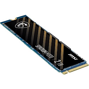 MSI SPATIUM M370 NVMe M.2 2TB Internal SSD PCIe Gen4 NVMe 1.3 3D NAND 1600 TBW