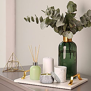 Scented Candles, Mint & Eucalyptus Candles, 9 oz Candles for Home Scented, 50 Hours Long Burning Soy Candle, Candles Gifts for Mother's Day, Valentine, Christma's Gifts