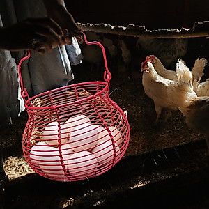 LINCOUNTRY Wire Egg Basket for Gathering Fresh Eggs,Red Egg Baskets for Fresh Egg Farmhouse,Egg Collecting Basket,Round Metal Egg Basket With Handle,Refrigerator Countertop Holder, Kitchen Storage Bin