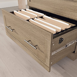 Realspace® 29-7/16"W x 18-1/2"D Lateral 2-Drawer File Cabinet, Spring Oak