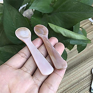 EvaGO Handmade Caviar Spoons Mother of Pearl MOP Caviar Spoon W Round Handle 3.55 inch, 2 pack