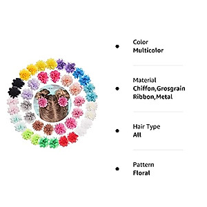 DeD 40PCS 2" Chiffon Flower Hair Bows Clips Flower Tiny Hair Clips Fine Hair for Girls Infants Toddlers Set of 20 Pairs