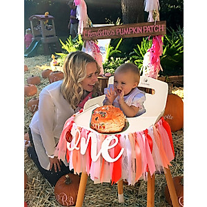 Little Pumpkin 1st Birthday Banner - Ribbon Tulle High Chair Banner.Halloween Birthday Party Decorations.Fall Photography Backdrops. (Pumpkin Banner)