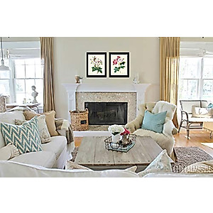 Botanical Pink White Roses Prints - Unframed - Beautiful Antique Illustration Wall Art Set of 2 Prints French Flowers Home Room Decor Small or Large Dining Room Bedroom Living Interior Design LRR