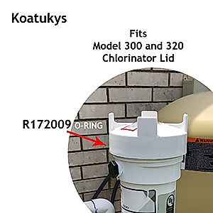 R172009 O-Ring For Pentair Model 300/320 Pool and Spa Chlorinator Lid (2/Pack)