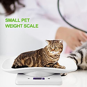 Digital Pet Scale, Animal Scales Platform Accurately Baby Weighing Tray Mini Precision Gram Weight Balance Multifunction LED Weights Tool Blue Backlight for Kitten Puppy Hamster Little Bird Toddler