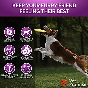 Dog Multivitamin Chewable with Glucosamine - Dog Vitamins and Supplements - Senior & Puppy Multivitamin for Dogs - Pet Joint Support Health - Immunity - Mobility - Energy - Gut - Skin - 120 Chews