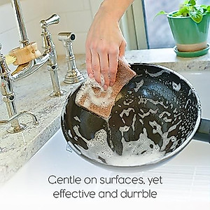 Full Circle Neat Nut Walnut Shell Scouring Pads, Non-Scratch, Set of 3 (Pack of 6)