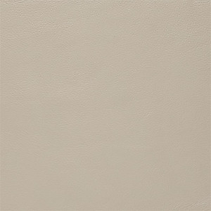 Lexicon Thierry 19" Modern Plywood and Leather Sofa in Cream Finish