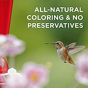 Audubon Park Hummingbird Food Wild Bird Nectar, Hummingbird Food for Outside Feeder, (3) 3-oz. Pre-Measured Packets