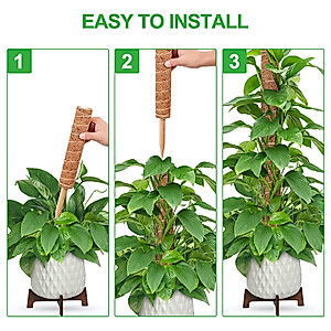 GROWNEER 24 Inch Moss Pole, 2 Pcs 15 Inch Stackable Totem Pole Plant Support, Moss Sticks for Indoor Plants with 15pcs Labels and 78in Garden Ties, Monstera Plant Stake for Climbing Plants Snake Plant