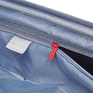 DELSEY Paris Cruise 3.0 Hardside Expandable Luggage with Spinner Wheels, Platinum, Carry on 21 Inch